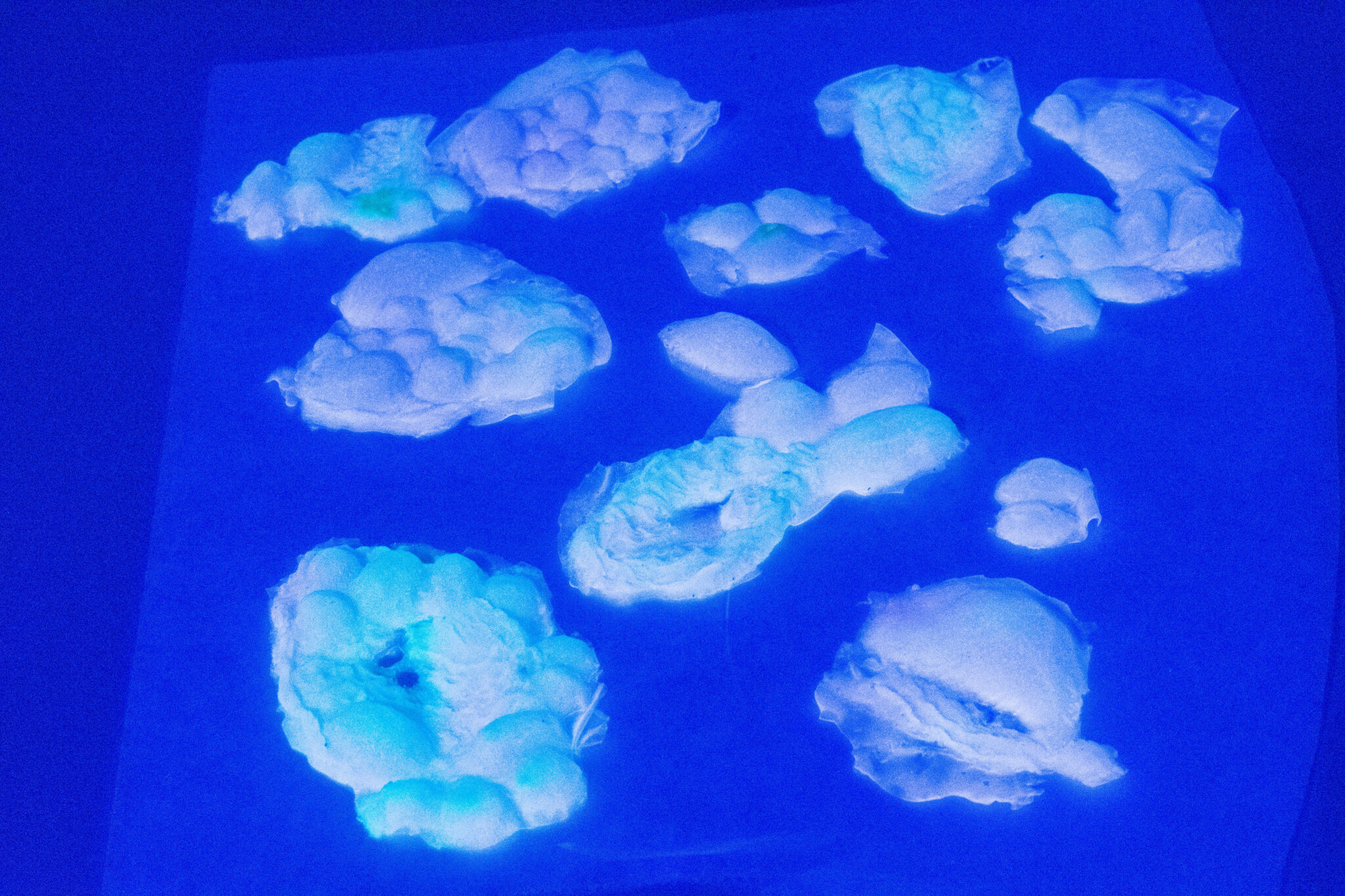 Silicone UV Reactive and Glow in the Dark Blister Clusters Large Pack ...