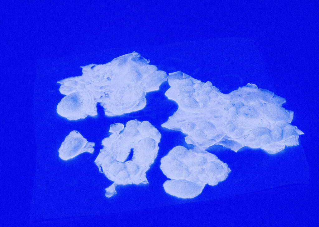 Silicone UV Reactive Blister Clusters Natural Color Large Pack - WikedFX