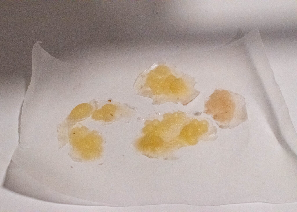 Silicone UV Reactive Blister Clusters Natural Color Small Pack - WikedFX