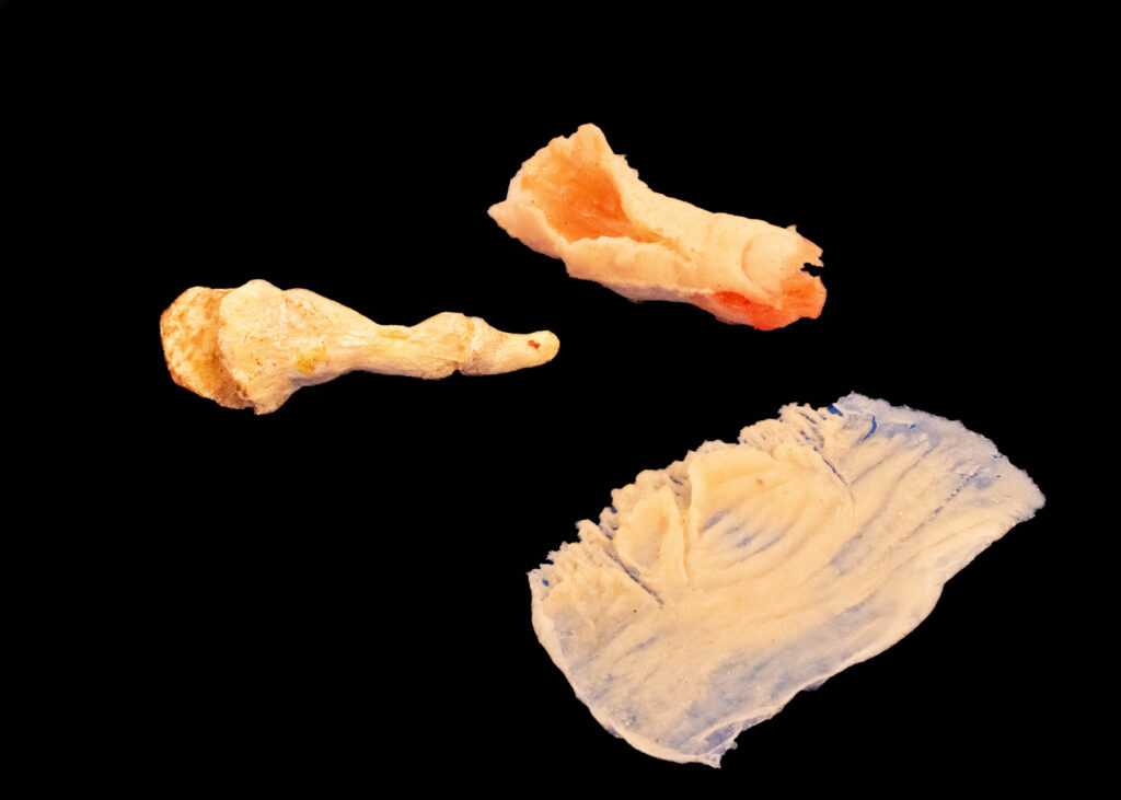 Silicone Prosthetic Finger Degloving Pack - WikedFX