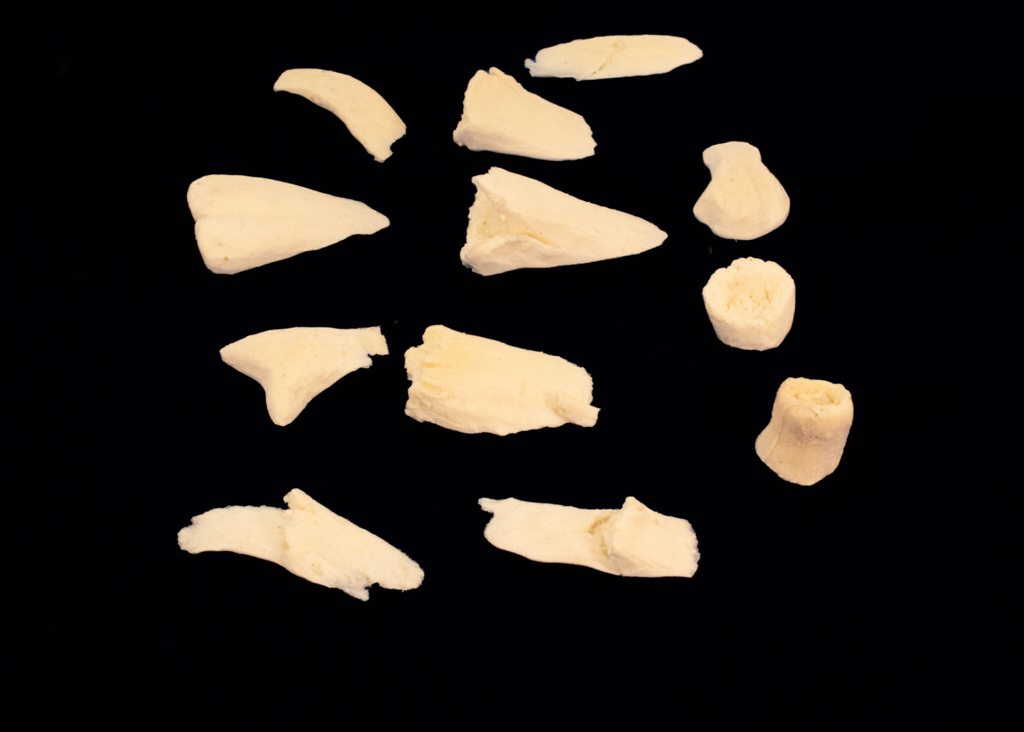Assorted Open Fracture Prosthetic Bone Pack Wikedfx