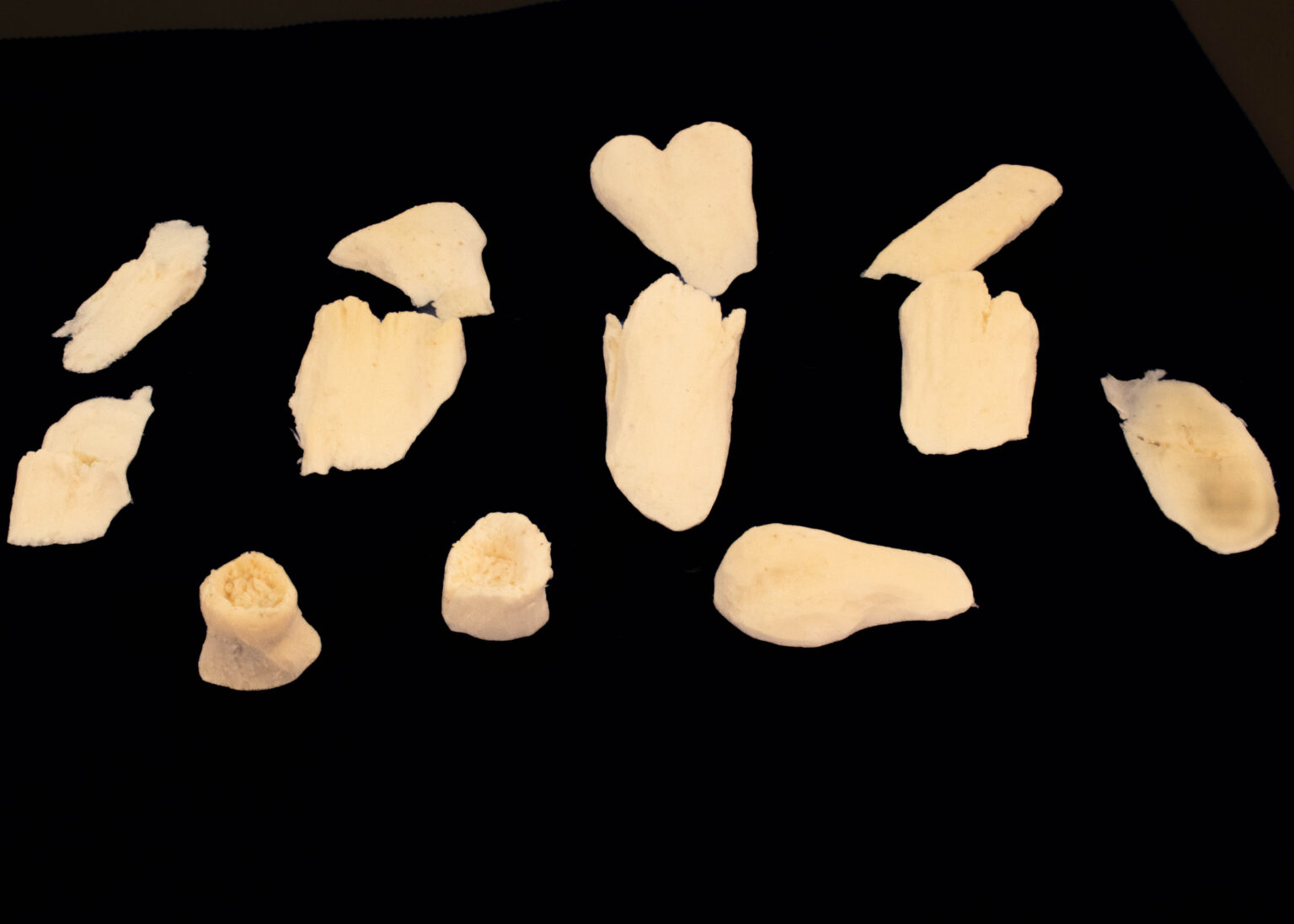 Assorted Open Fracture Prosthetic Bone Pack - WikedFX